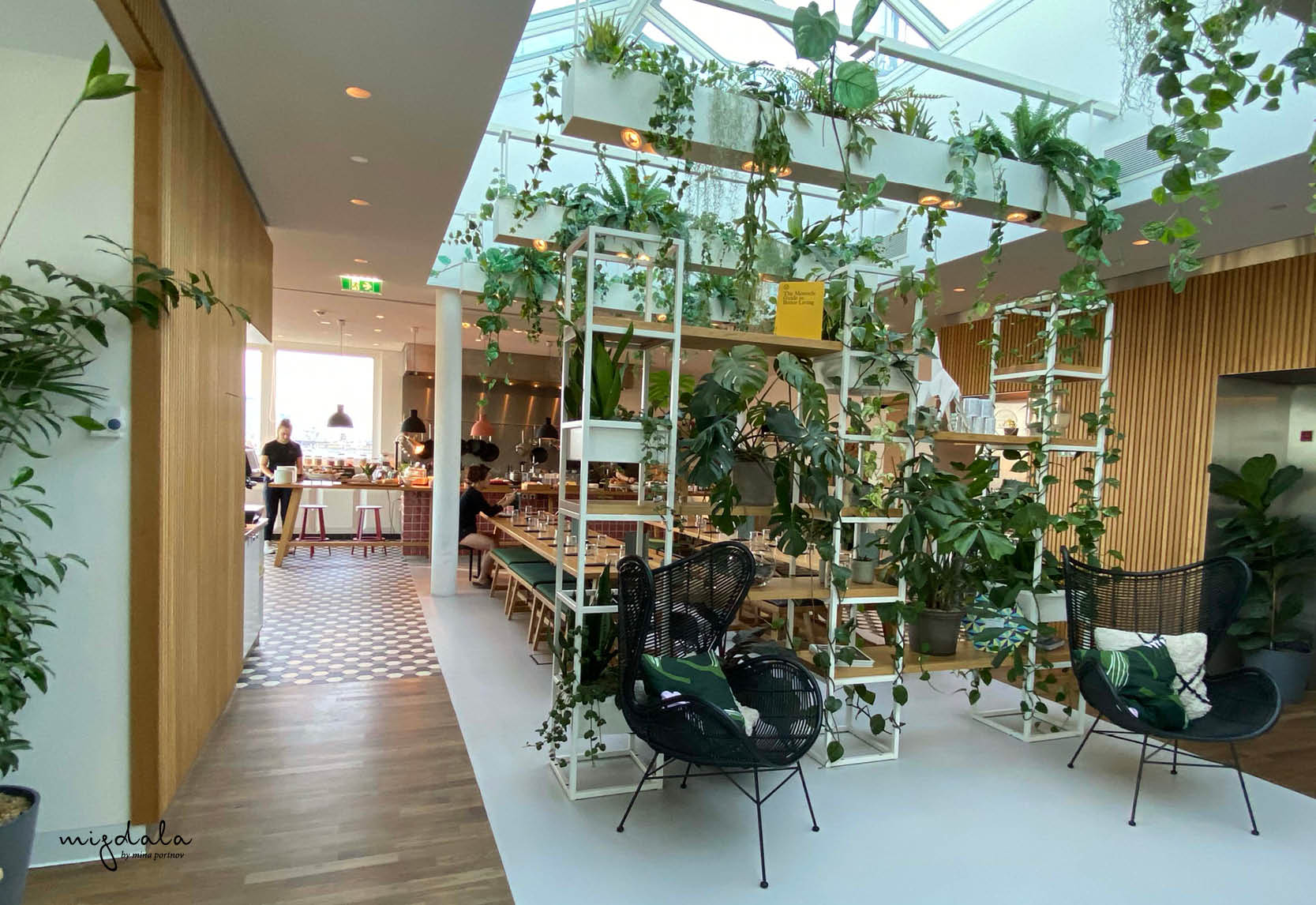 Zoku Vienna: מלון שהוא בית-עבודה-קהילה מבוסס קיימות - migdala